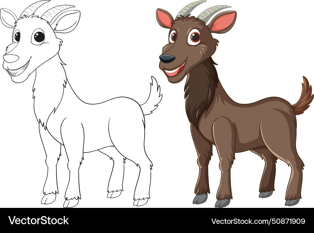 Colorful and outlined goat drawings side Vector Image