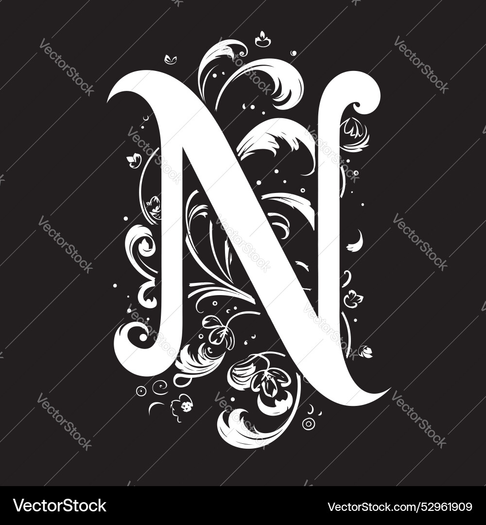 Nebula flourish stellar letter n decor nostalgic Vector Image