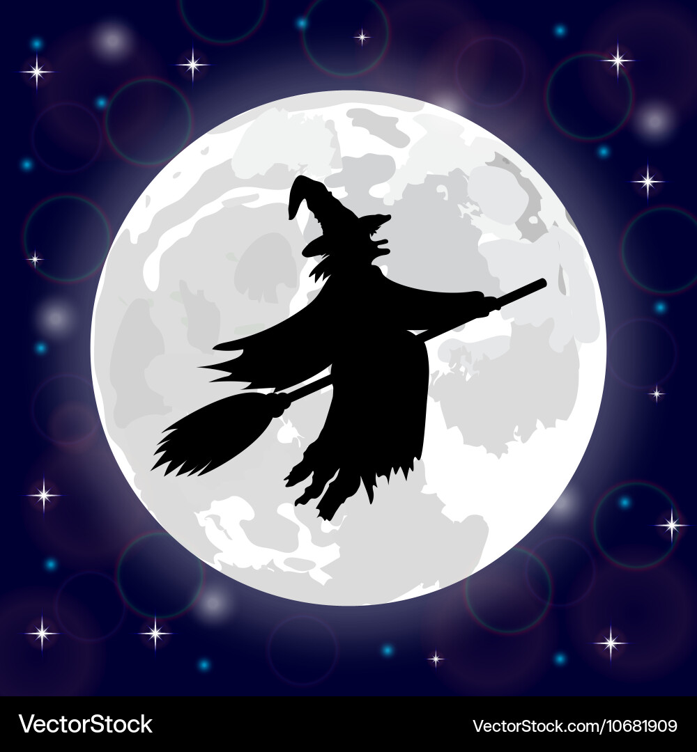 Silhouette of a witch full moon Royalty Free Vector Image