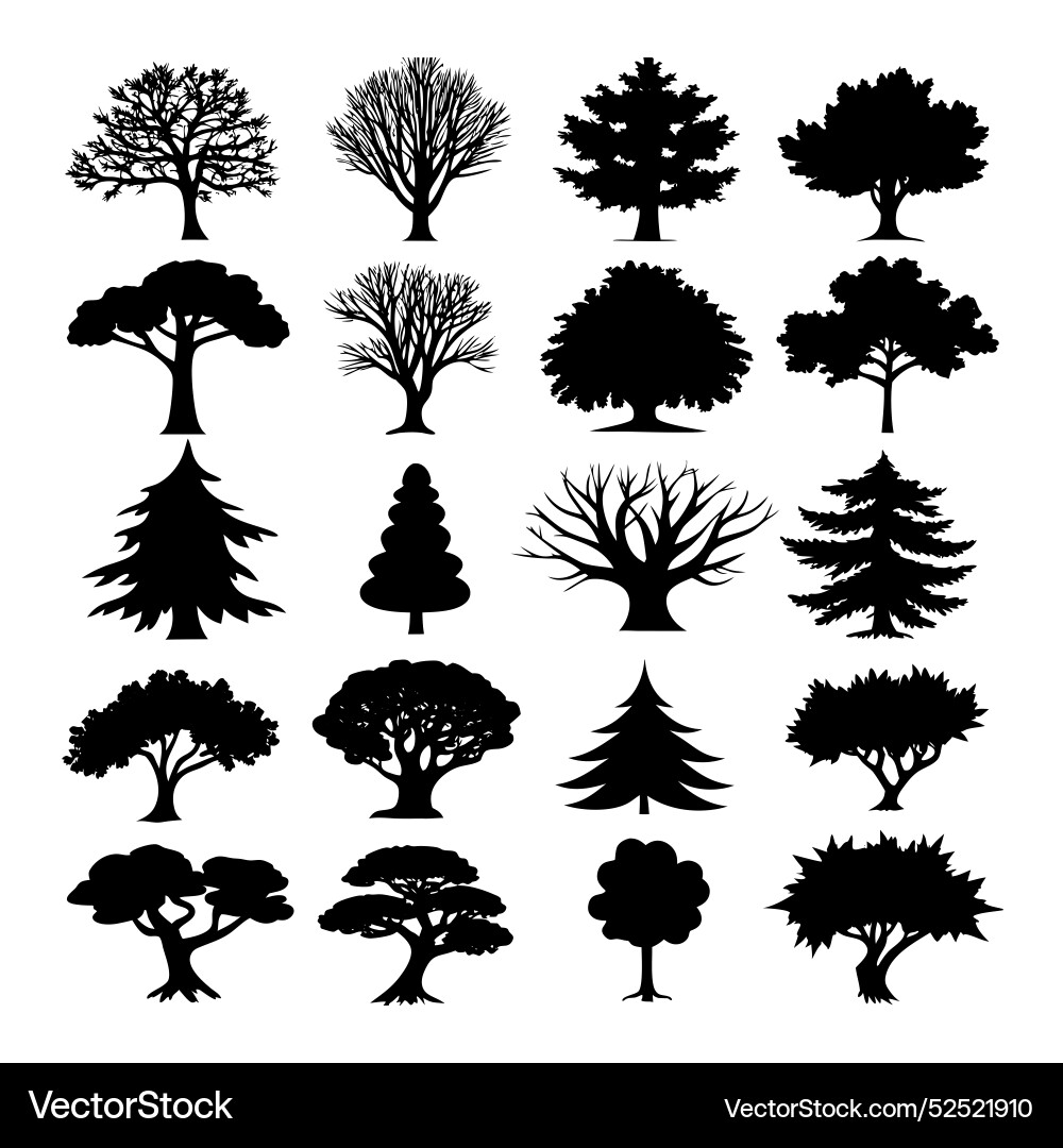 A set of detailed tree silhouettes Royalty Free Vector Image