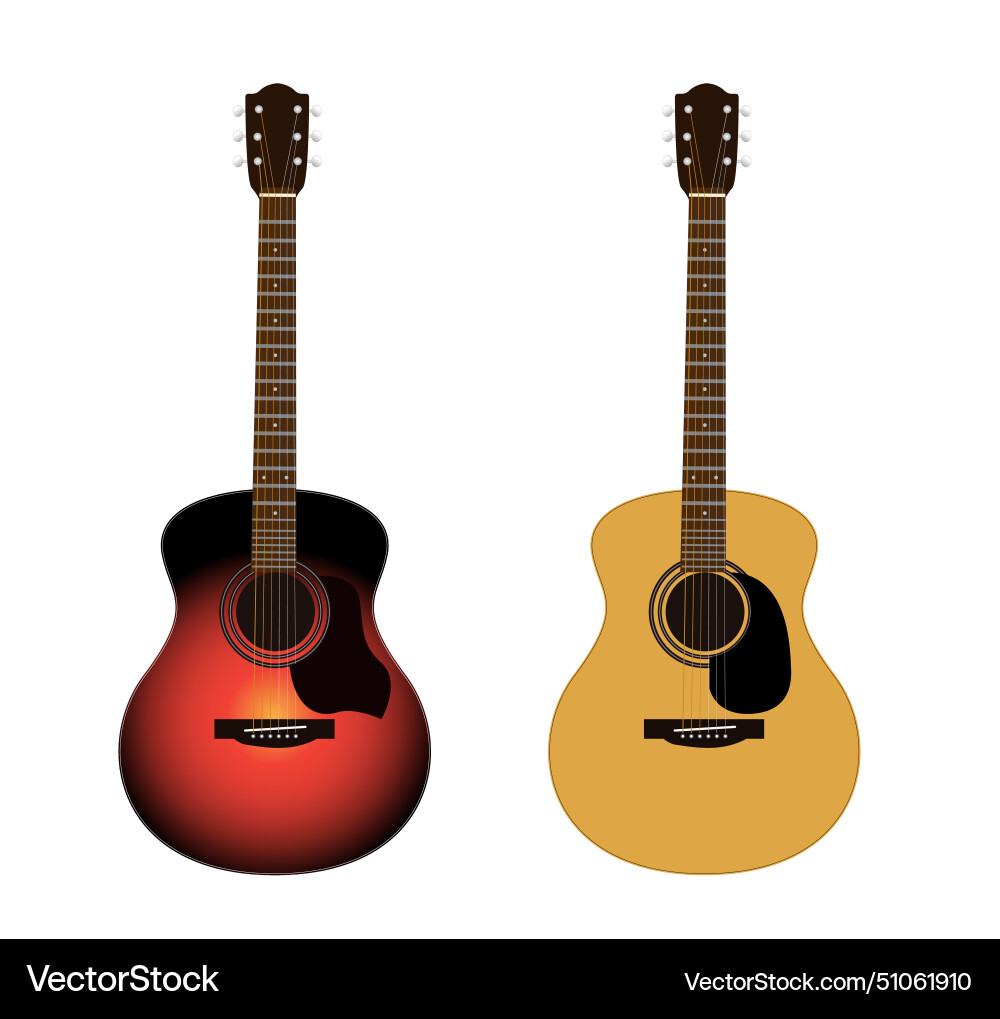 Acoustic guitars isolated on white background Vector Image