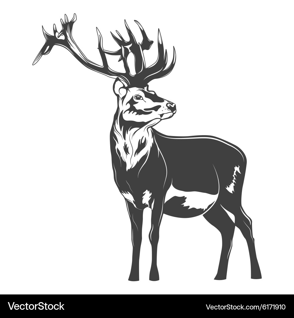 Deer Royalty Free Vector Image Vectorstock