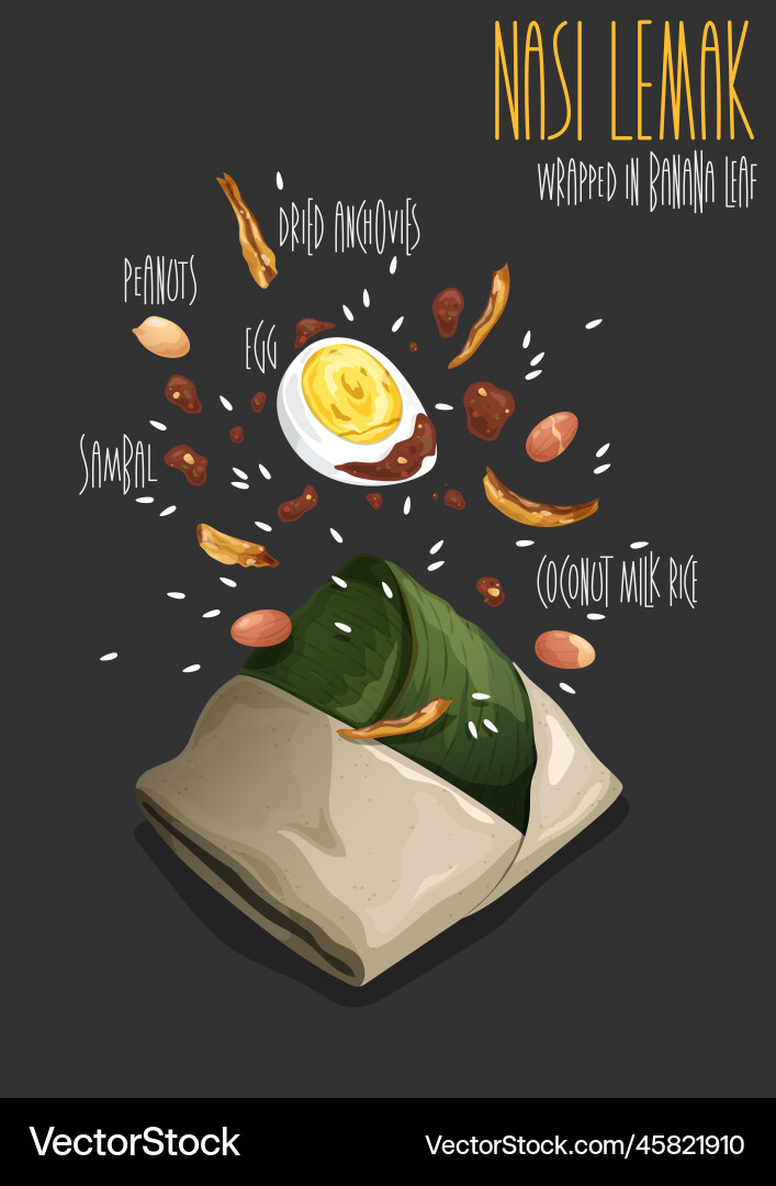 Nasi lemak Royalty Free Vector Image - VectorStock