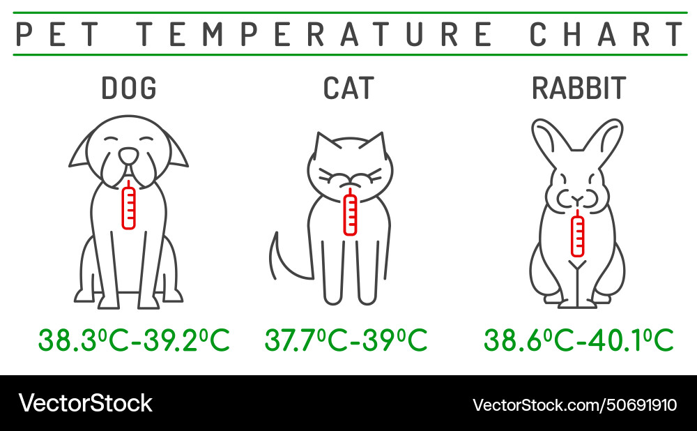 Normal temperature for a pet medical Royalty Free Vector