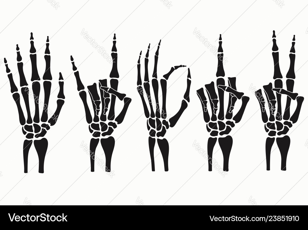 Skeleton Hand Gesture Set Royalty Free Vector Image