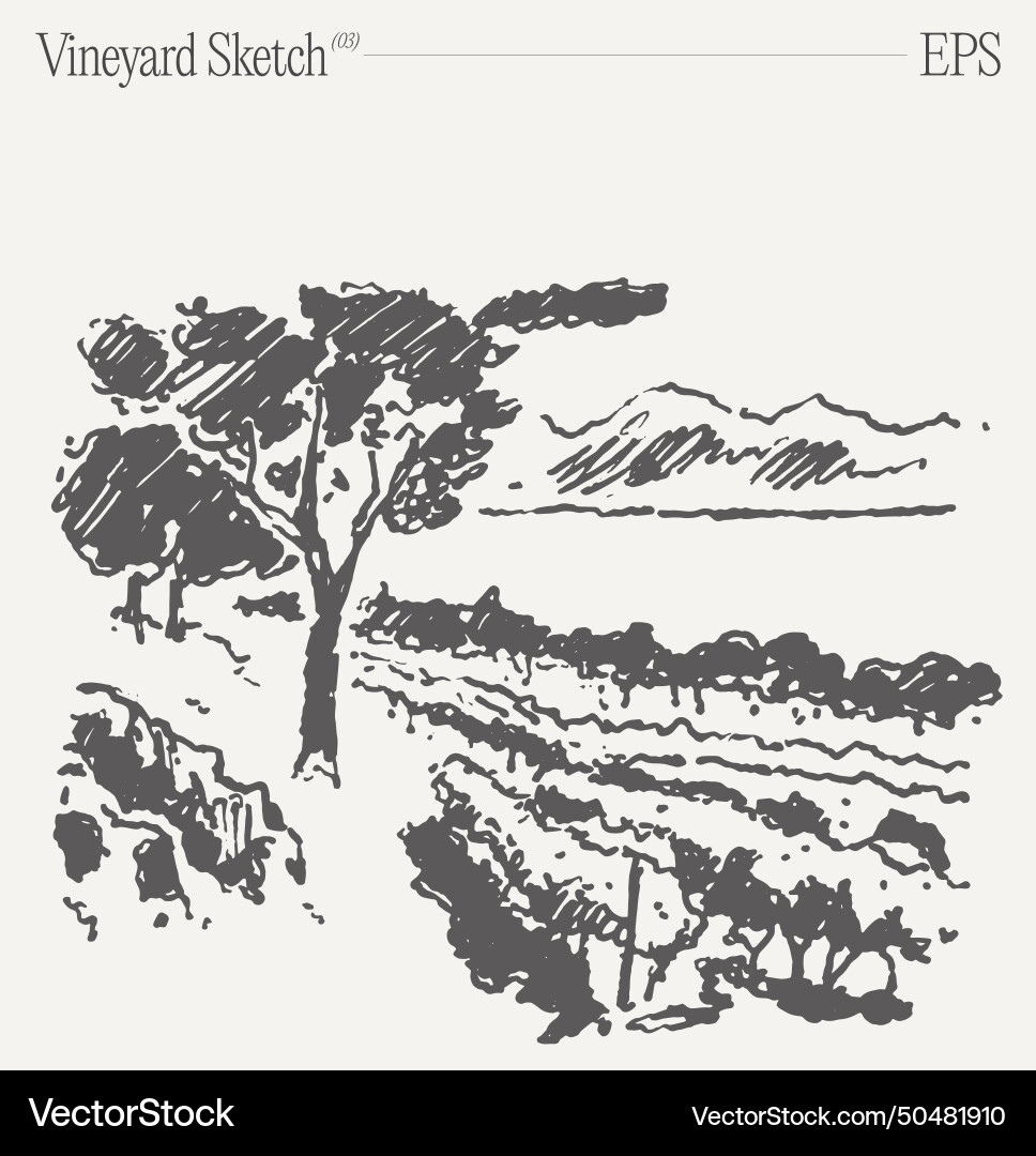Vineyard landscape sketch Royalty Free Vector Image