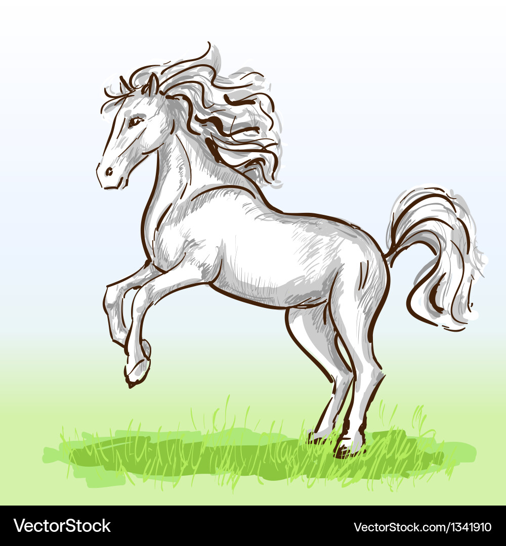 White horse Royalty Free Vector Image - VectorStock