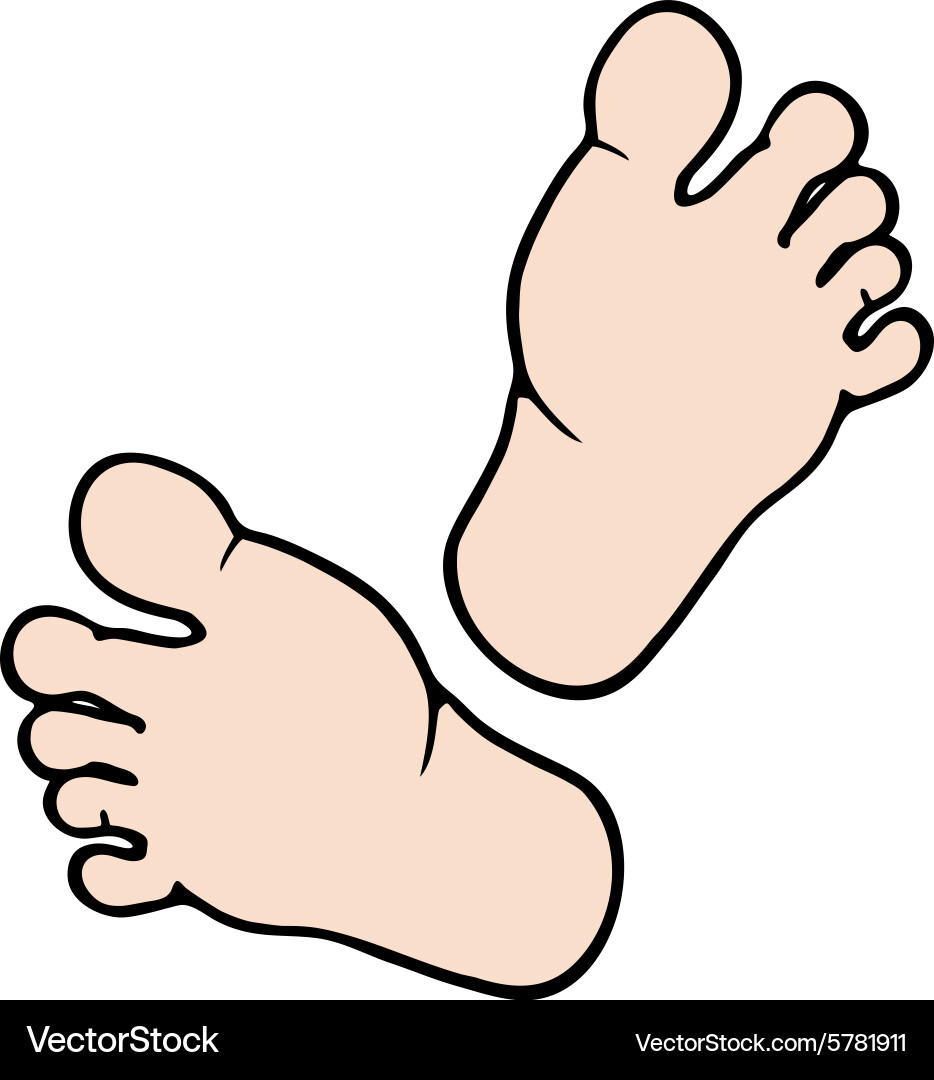 Cartoon feet Royalty Free Vector Image - VectorStock