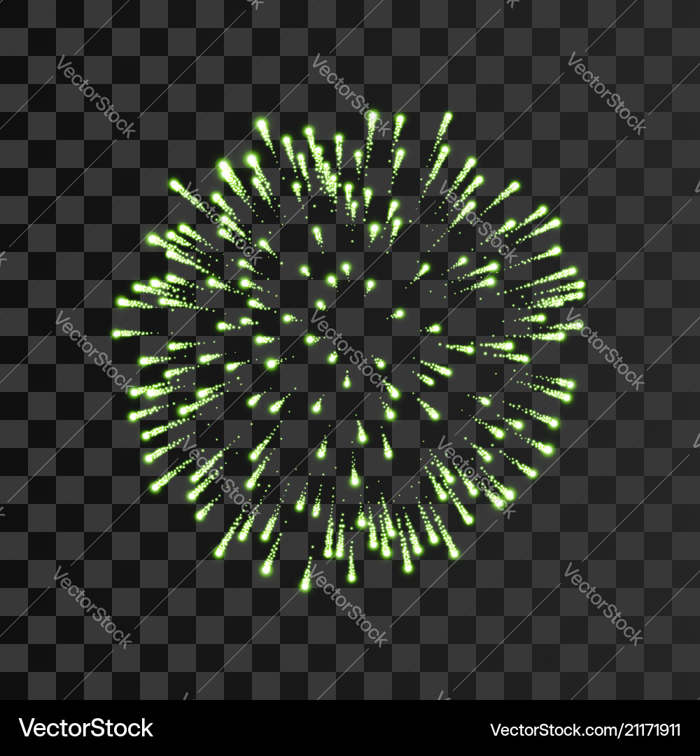 Firework green bursting isolated transparent Vector Image