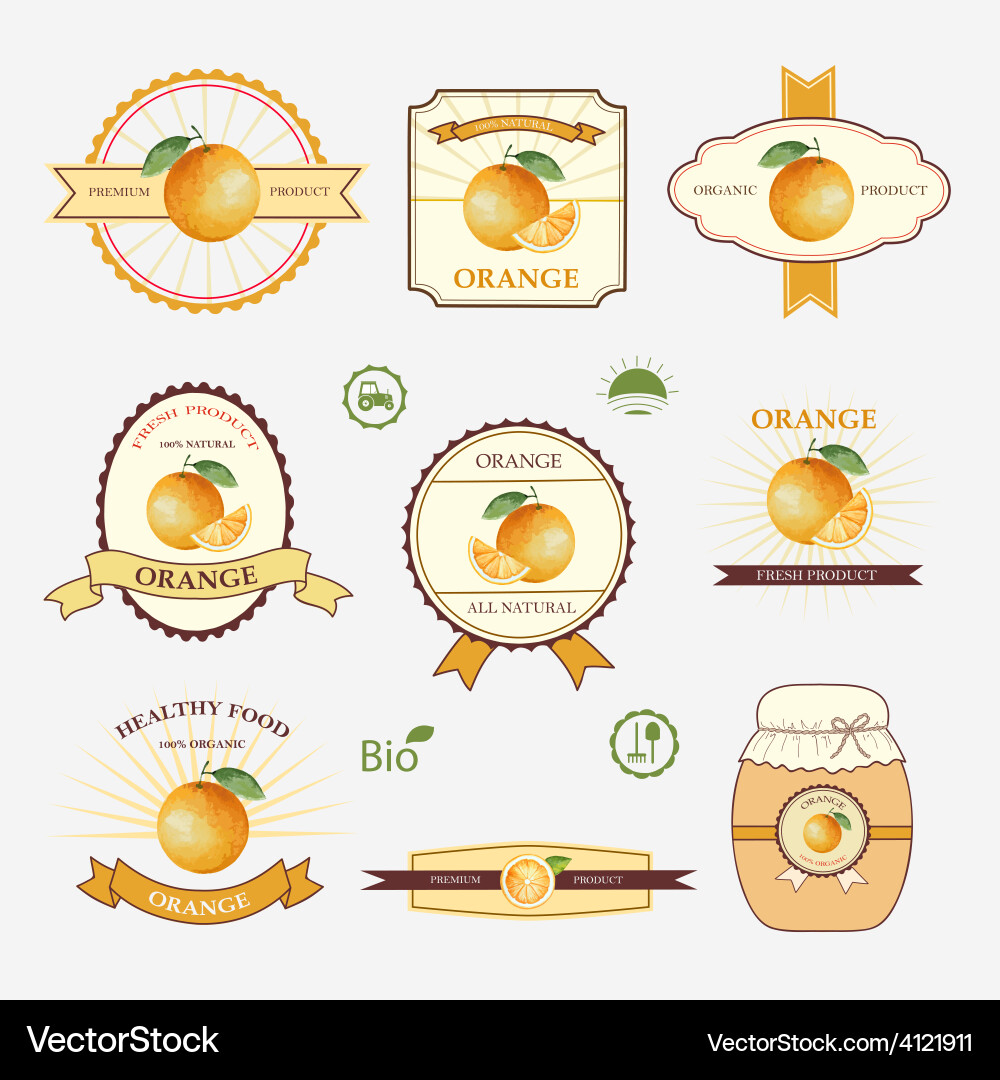 Orange set of label design and templates Vector Image