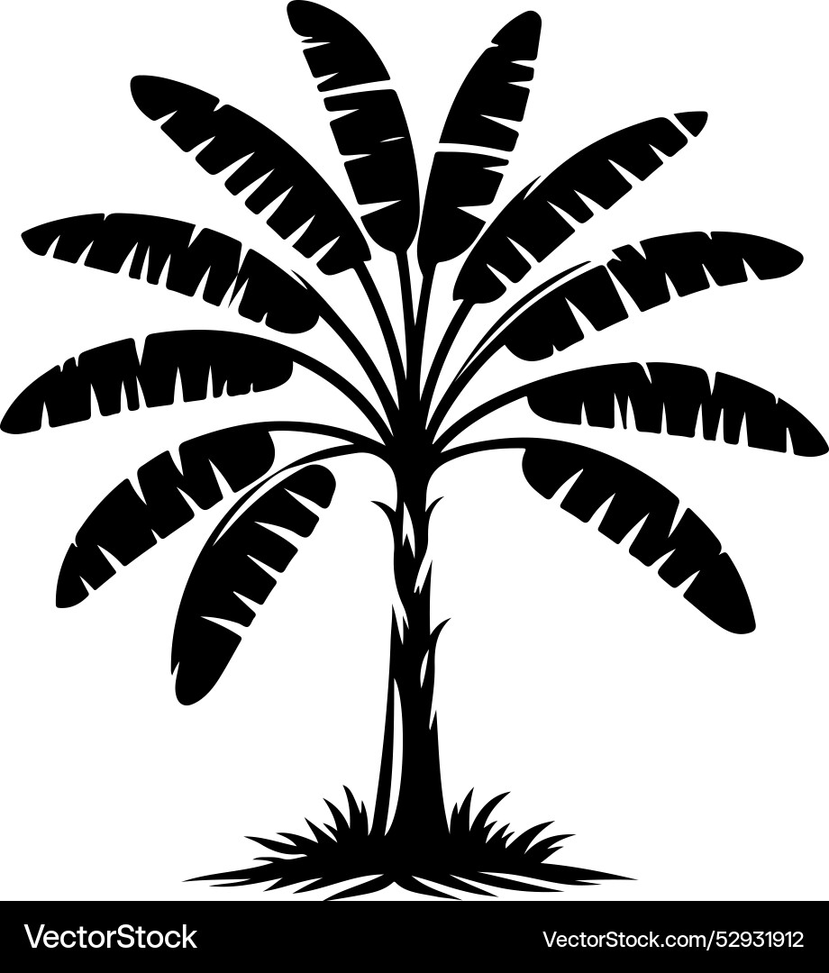 Banana tree icon design template royalty Vector Image