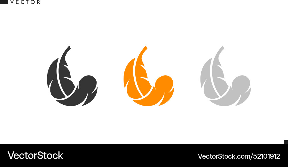 Chicken feather Royalty Free Vector Image - VectorStock