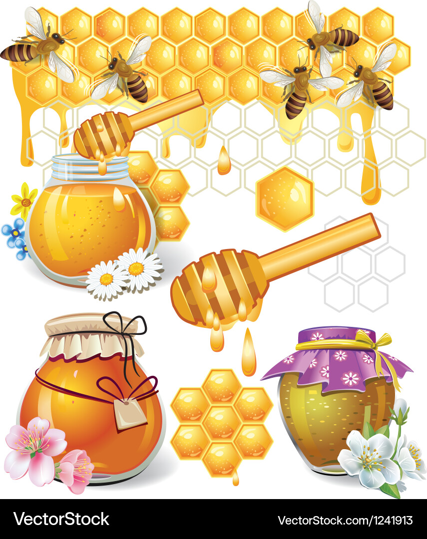 Honey Royalty Free Vector Image - VectorStock