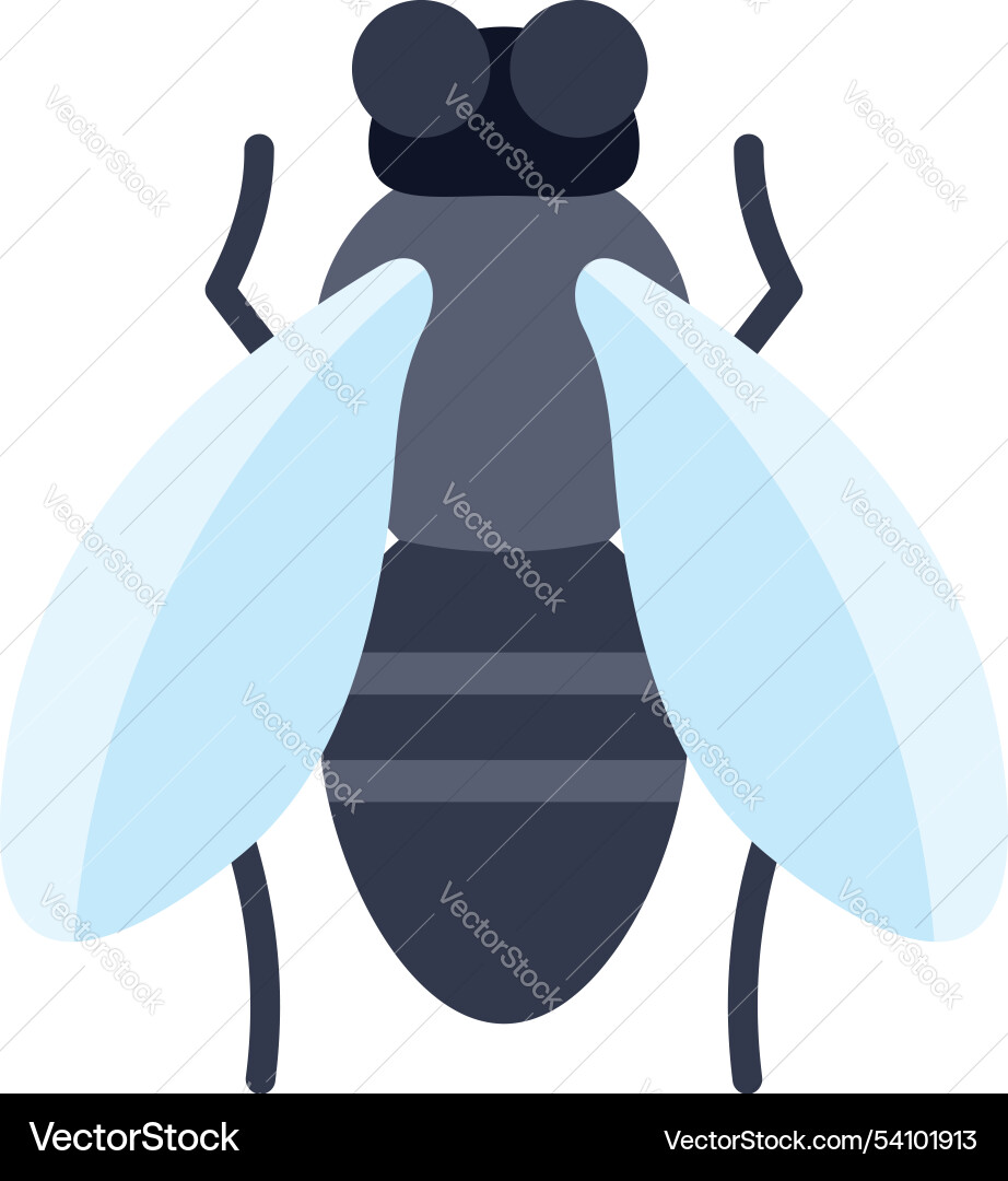 House fly insect spreading germs and diseases Vector Image