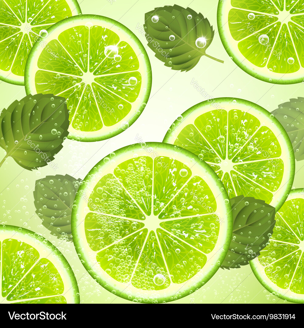 Background of lime and mint leaves Royalty Free Vector Image