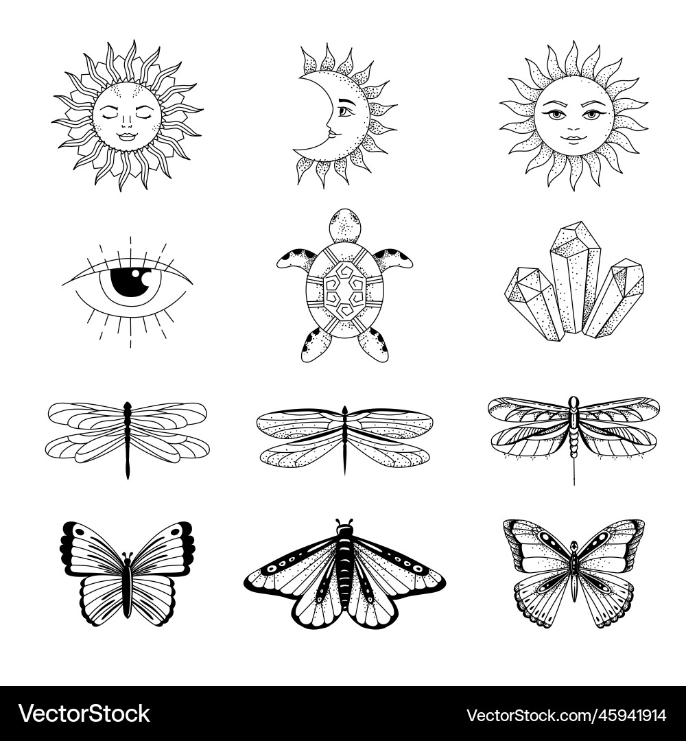 Boho collection of magic line art Royalty Free Vector Image