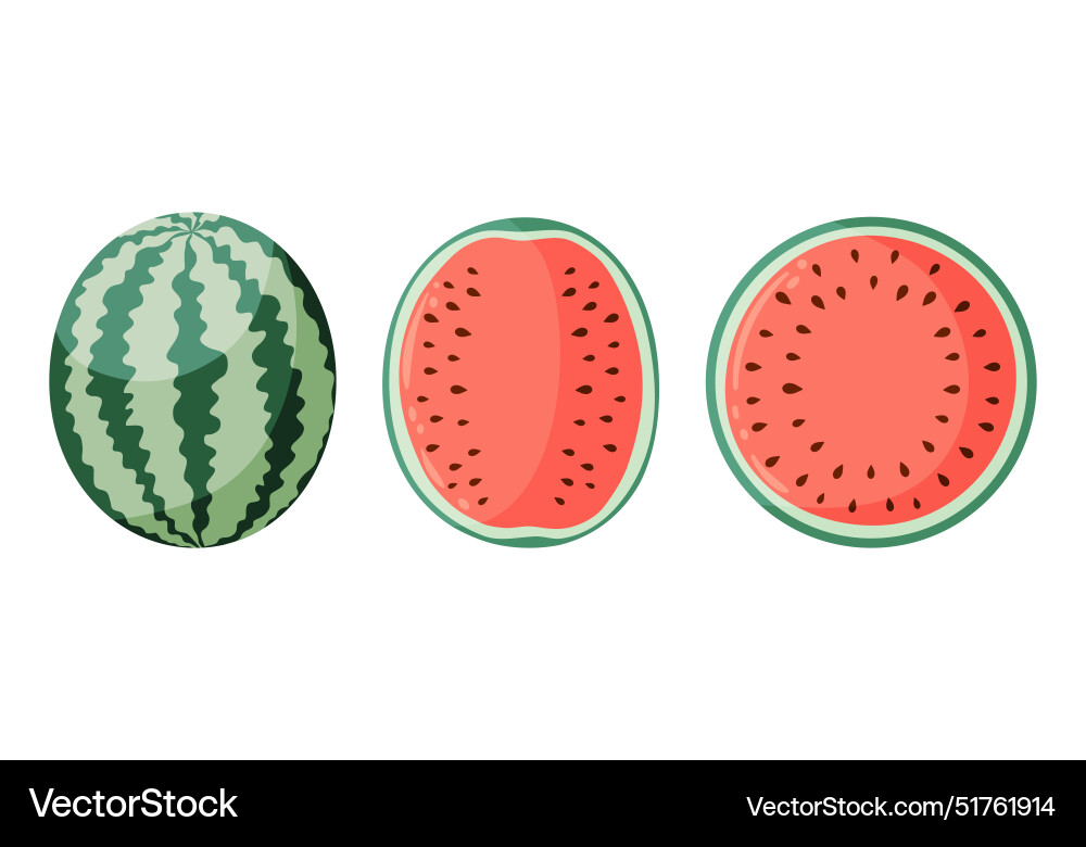 Watermelon set with whole Royalty Free Vector Image