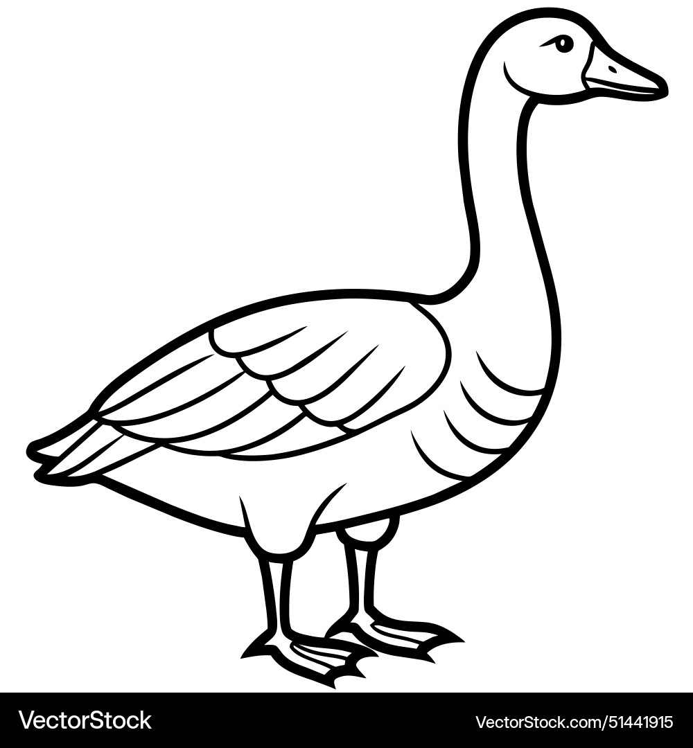 Andean goose stands icon Royalty Free Vector Image