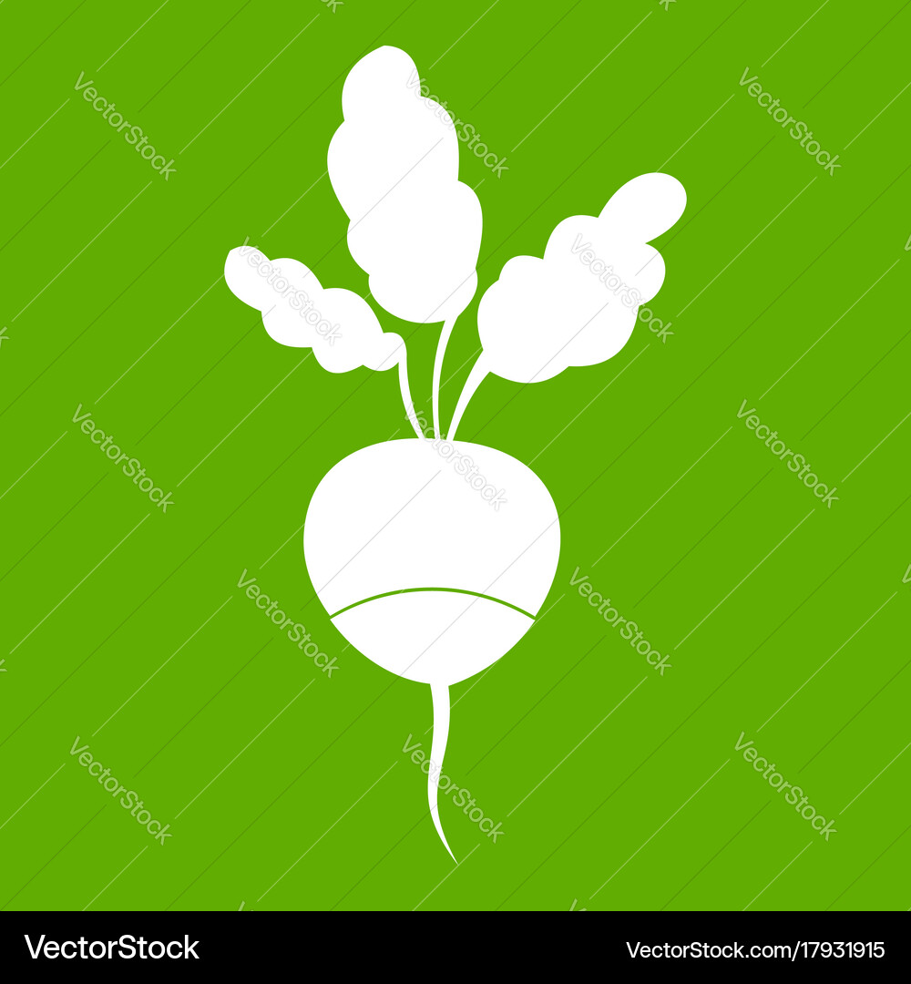 Fresh radish icon green Royalty Free Vector Image