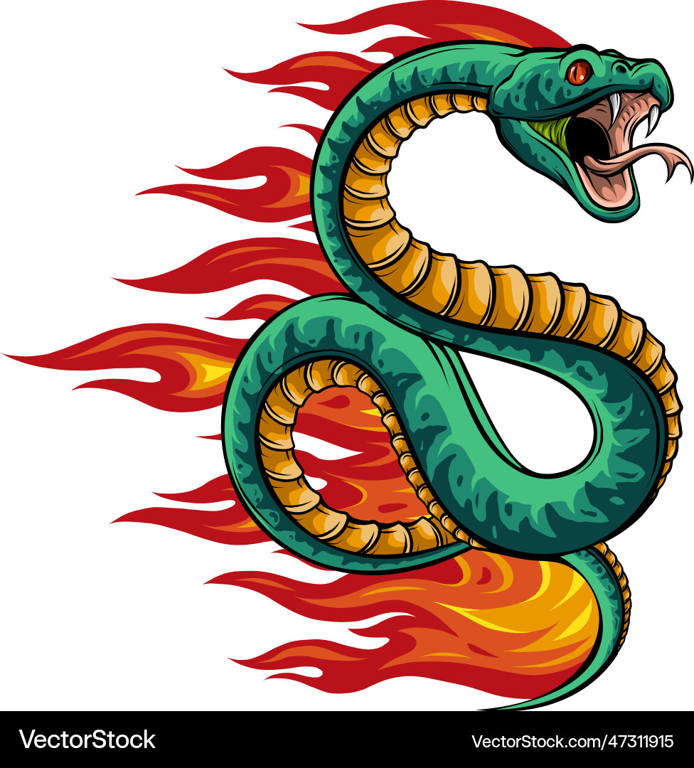 Viper snake with flame Royalty Free Vector Image