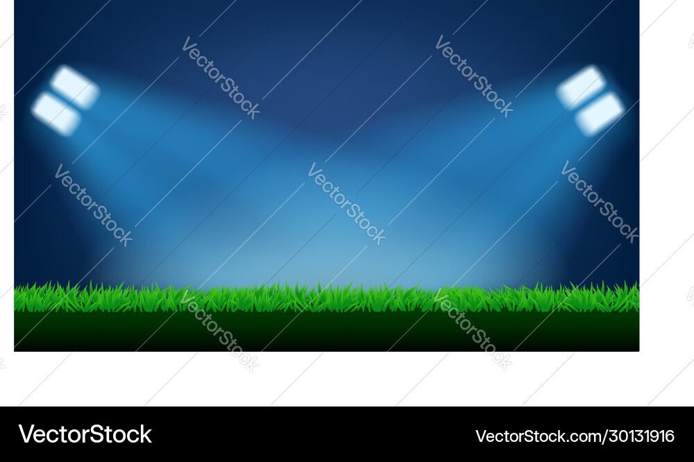 Football field light Royalty Free Vector Image