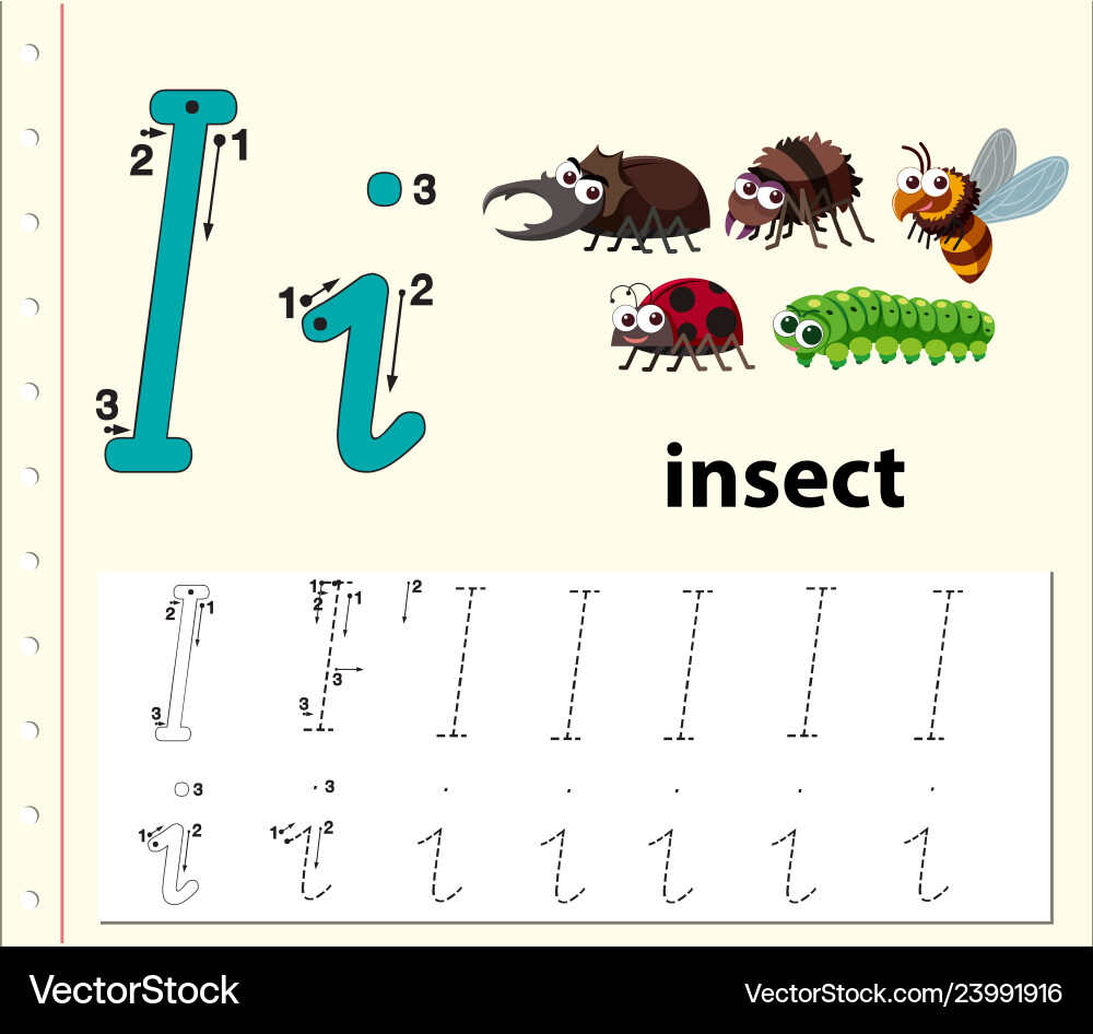 Letter i tracing alphabet worksheet Royalty Free Vector