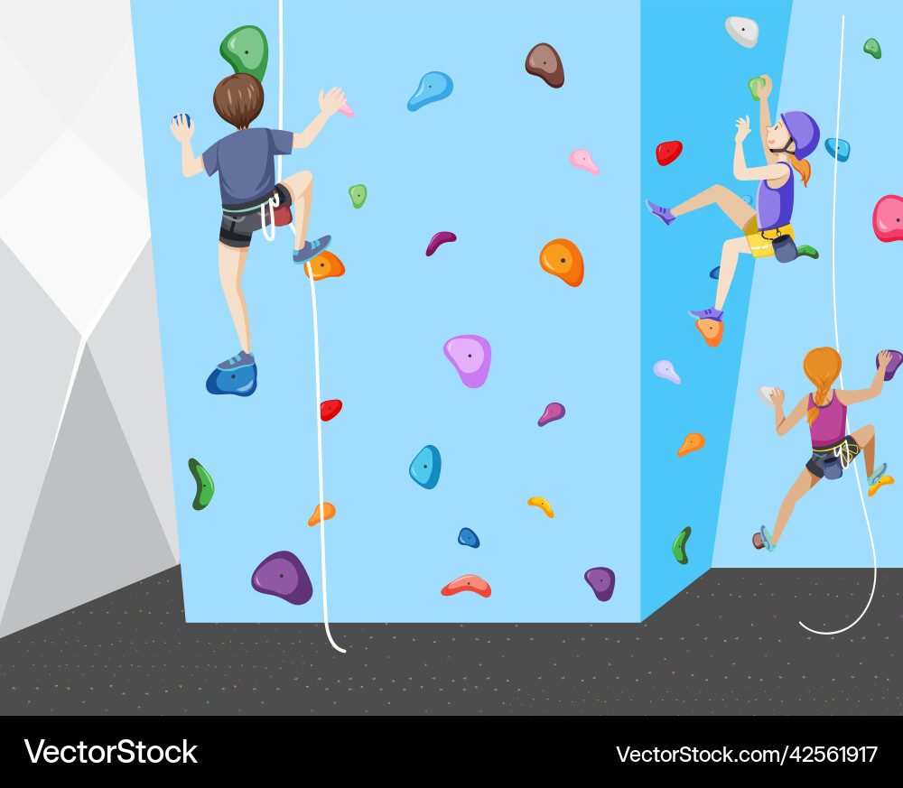 Indoor rock climbing gym Royalty Free Vector Image