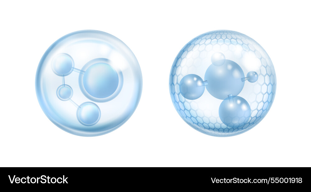 Collagen DNA Serum Ebullition Royalty Free Vector Image