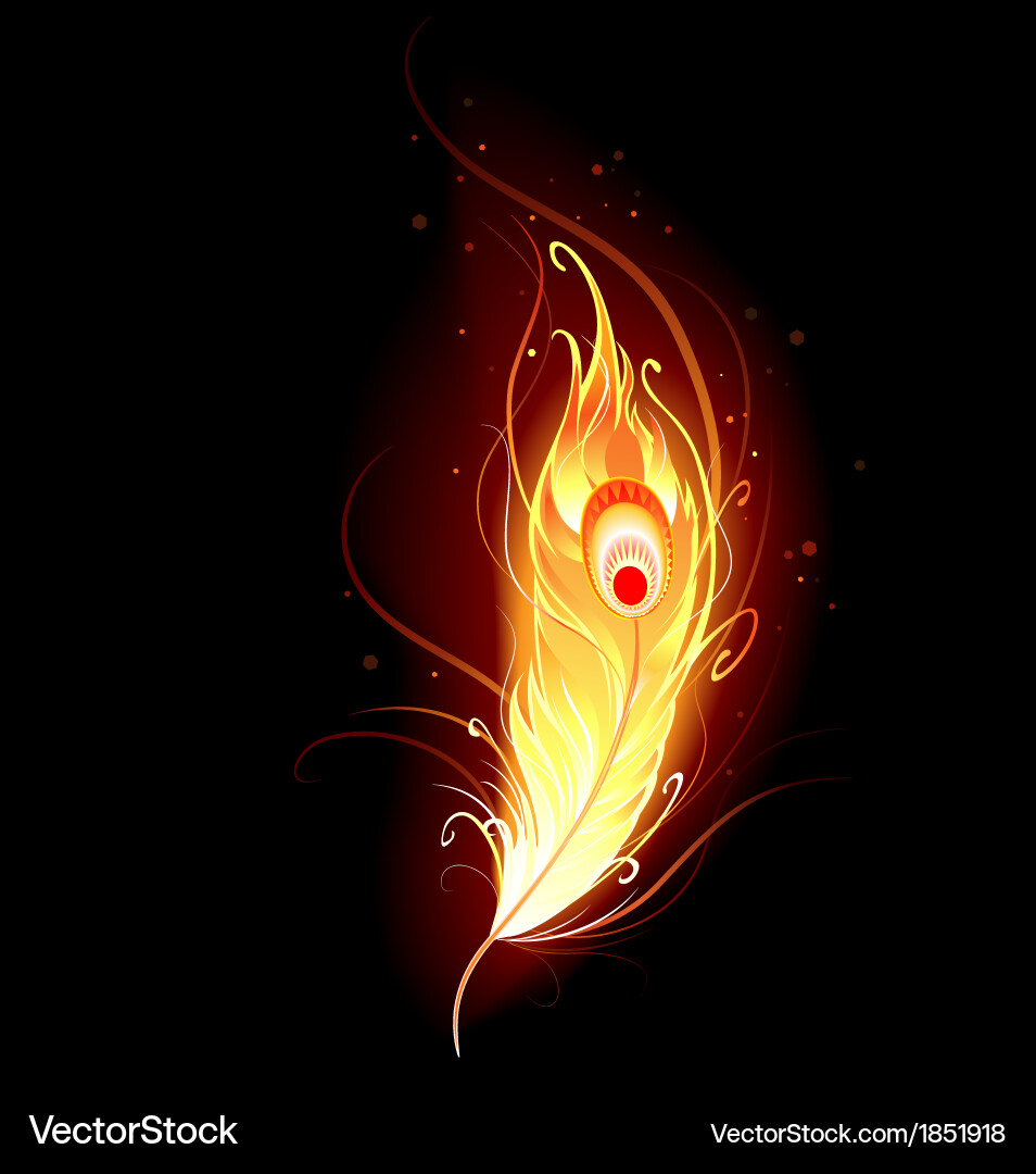 Flaming Phoenix Feather Royalty Free Vector Image