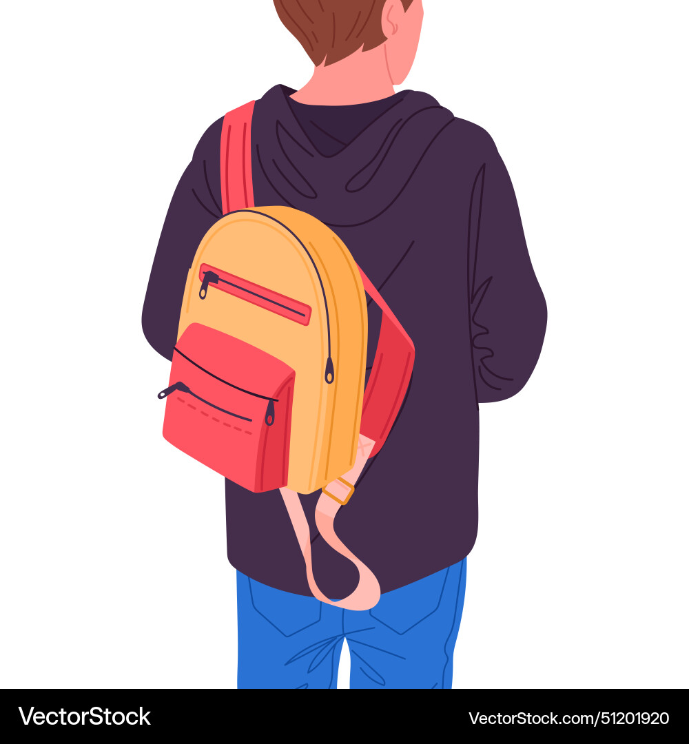 Boy with backpack young man wearing school bag Vector Image