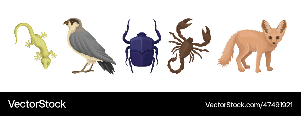 Desert living creatures and wild animal set Vector Image