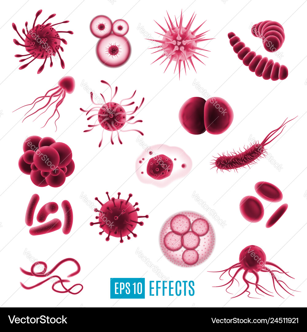 Microscopic Germs and Bacteria Icons Royalty Free Vector