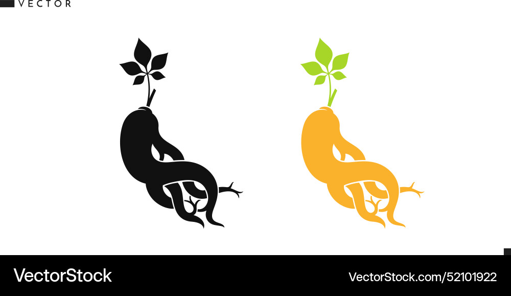 Ginseng root silhouette Royalty Free Vector Image