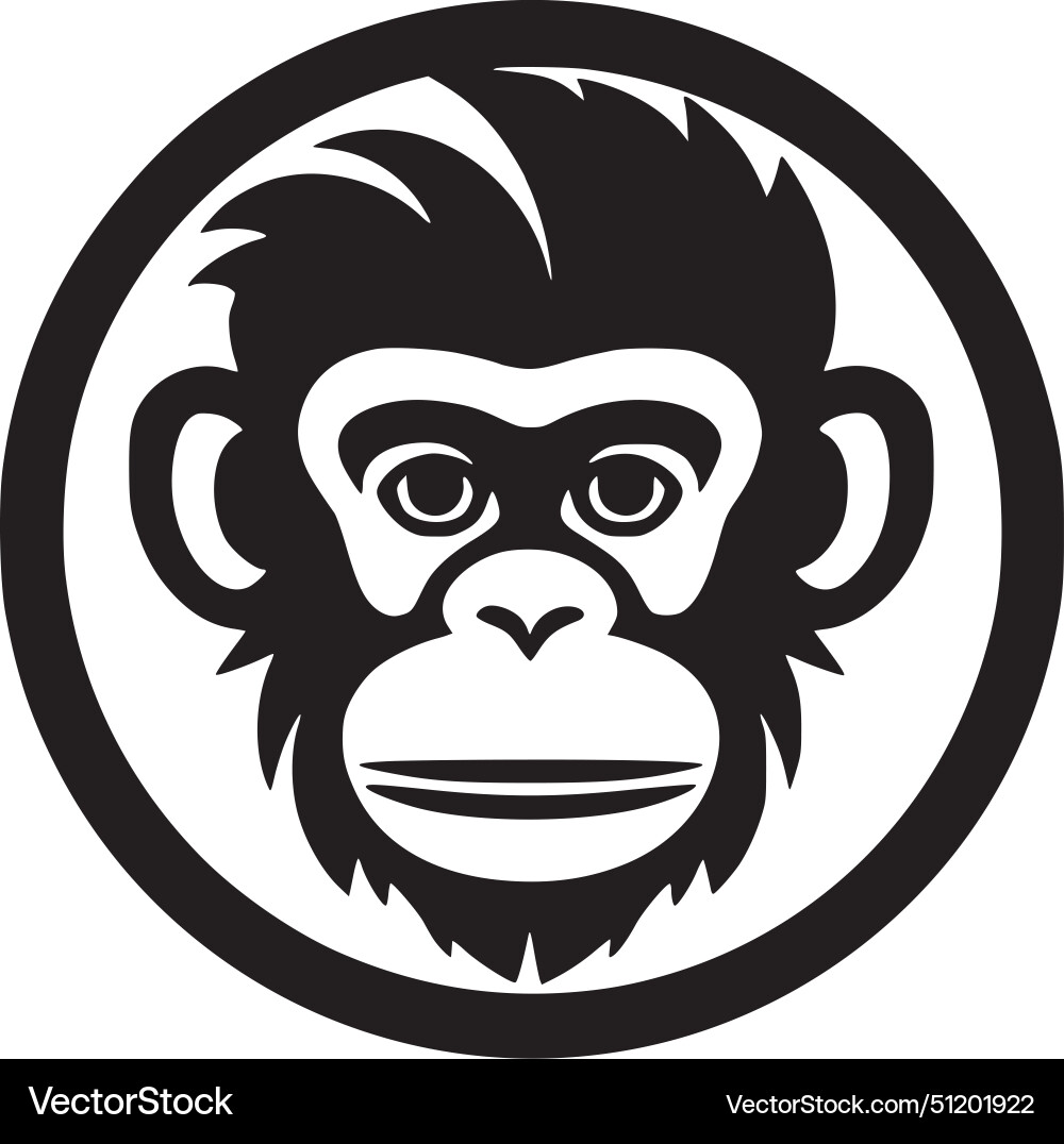 Monkey - high quality logo ideal for t-shirt Vector Image