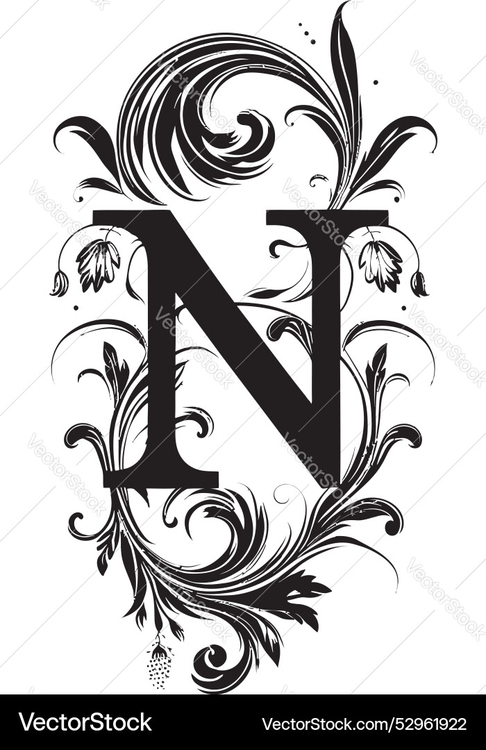 Nebula symphony stellar letter n decor nostalgic Vector Image