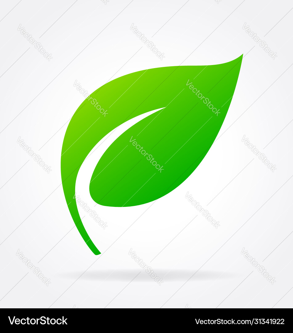 Single stylized lush green leaf with stem Vector Image