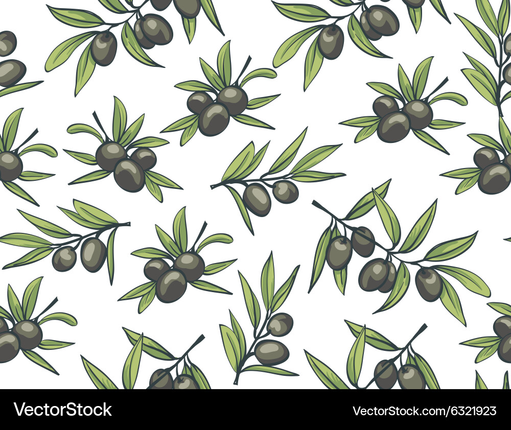 Black olives from branches on a white background Vector Image
