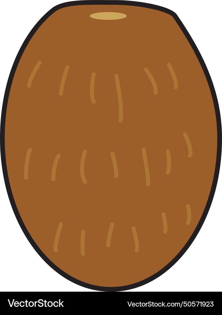 Colored coconut fruit icon Royalty Free Vector Image