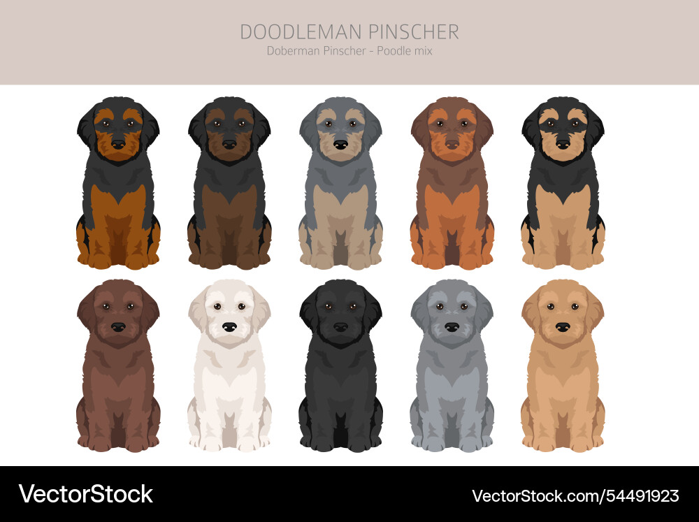 Doodleman pinscher clipart doberman Royalty Free Vector