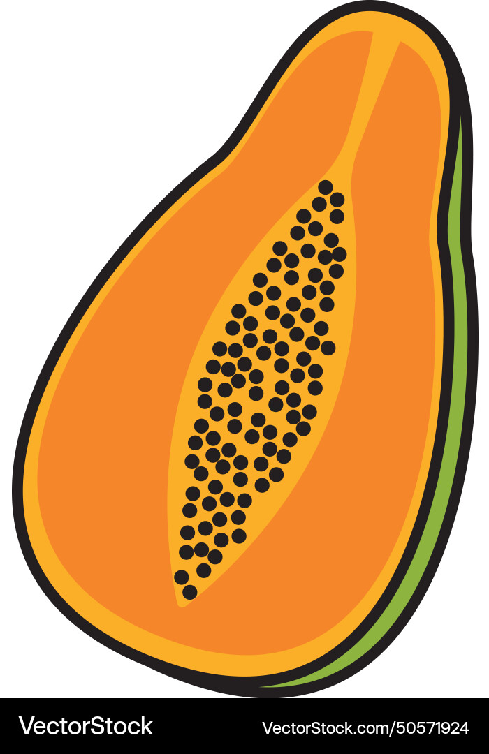 Colored papaya fruit icon Royalty Free Vector Image