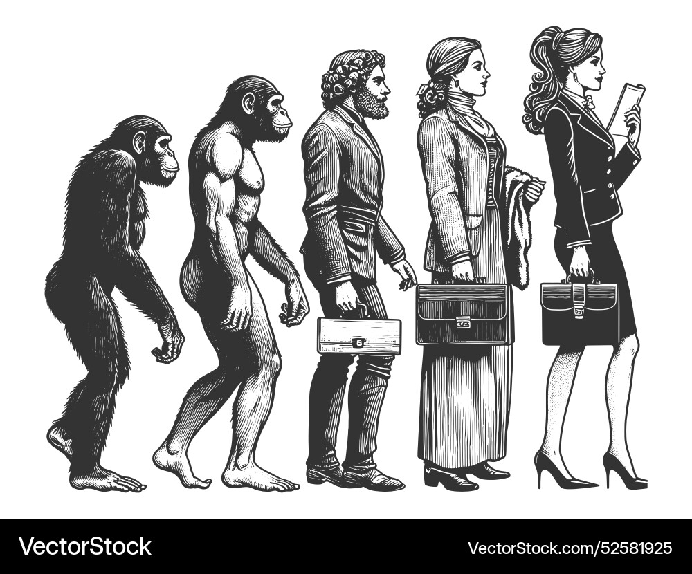 Evolution of woman from primate to professional Vector Image