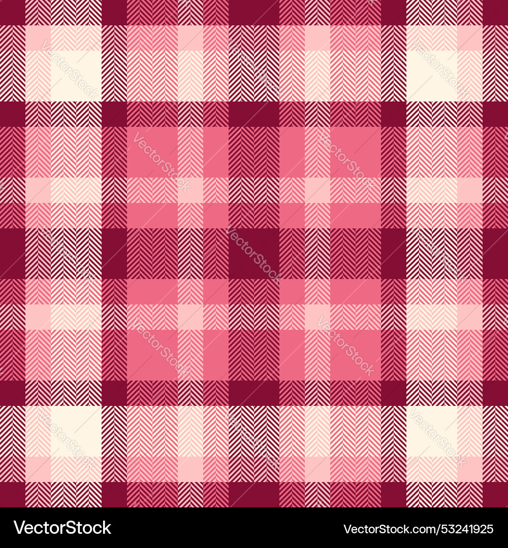 Mature tartan texture hispanic check plaid Vector Image