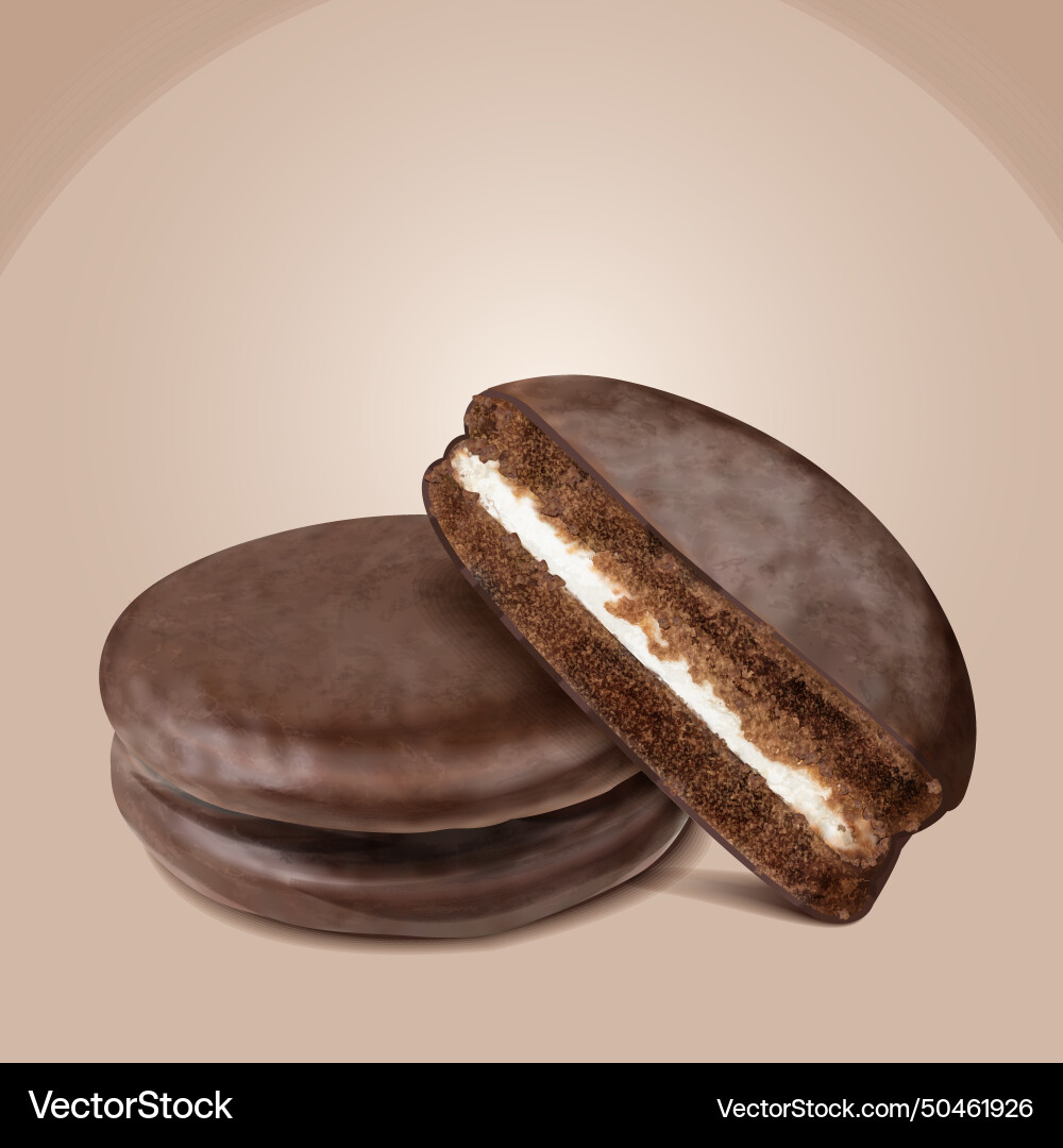 Choco pie with half section Royalty Free Vector Image