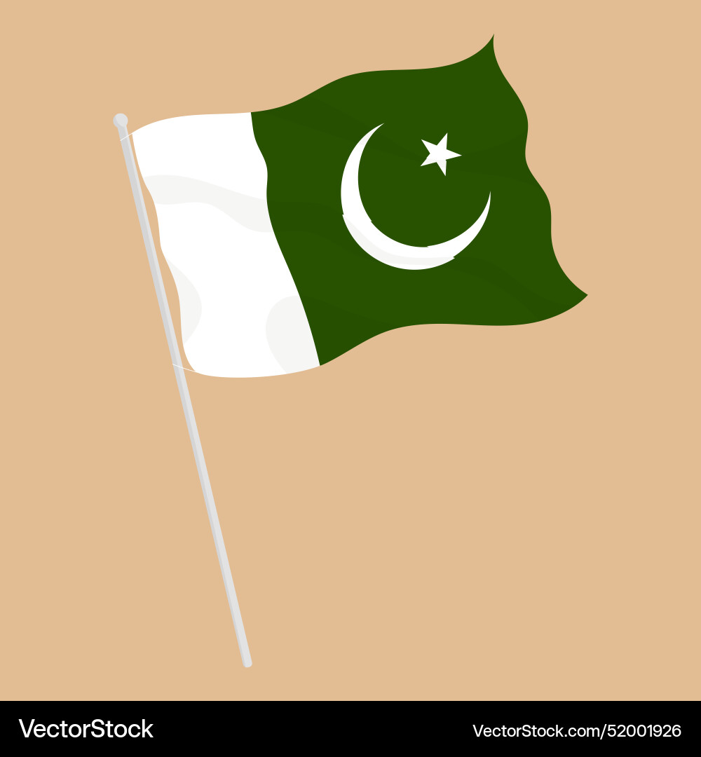 Pakistan country flag Royalty Free Vector Image