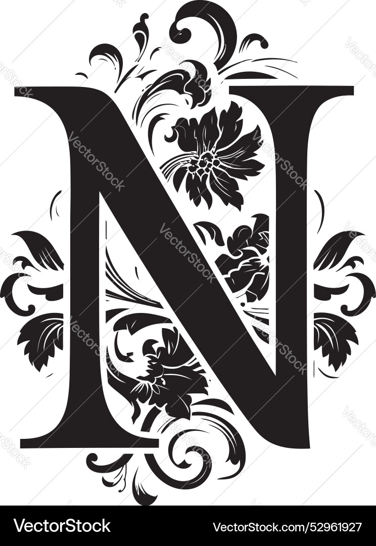 Nebula serenity cosmic letter n decor nostalgic Vector Image