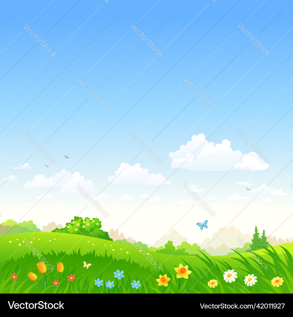 Spring meadow Royalty Free Vector Image - VectorStock
