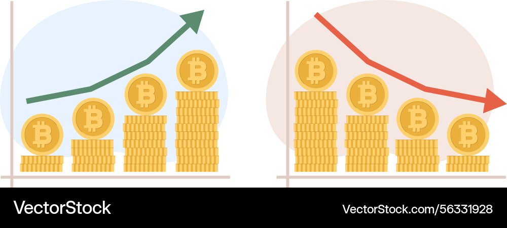 Bitcoin coin value rise and fall charts financial Vector Image