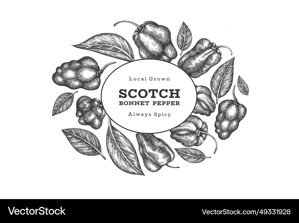 Hand drawn sketch style scotch bonnet pepper Vector Image
