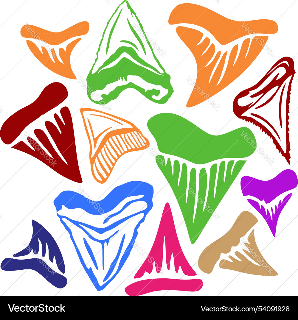 Megalodon Vector Images (over 200)
