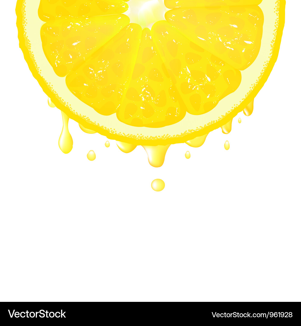Lemon slice Royalty Free Vector Image - VectorStock